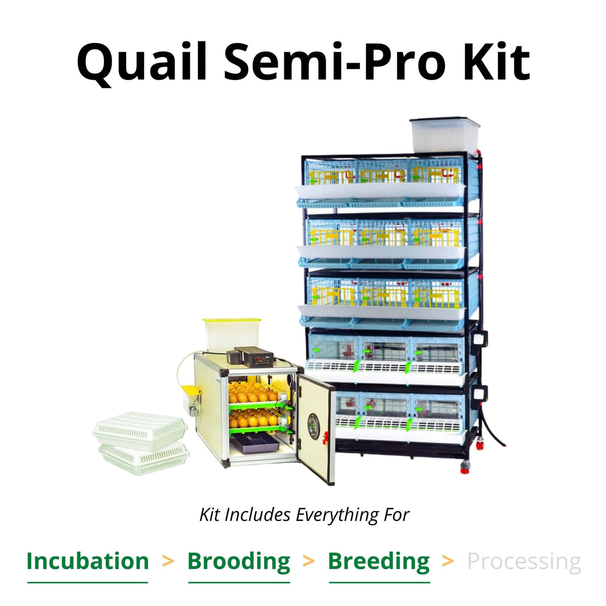 Quail Semi-Pro Kit– Sugar Sky Farms